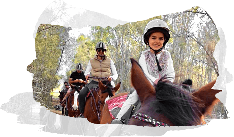 Hunter Valley Horses - Horse Riding - Bushland ,Vineyard trail rides