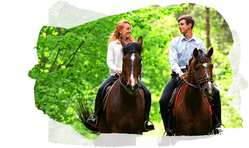 Hunter Valley Horses - Horse Riding - Bushland ,Vineyard trail rides